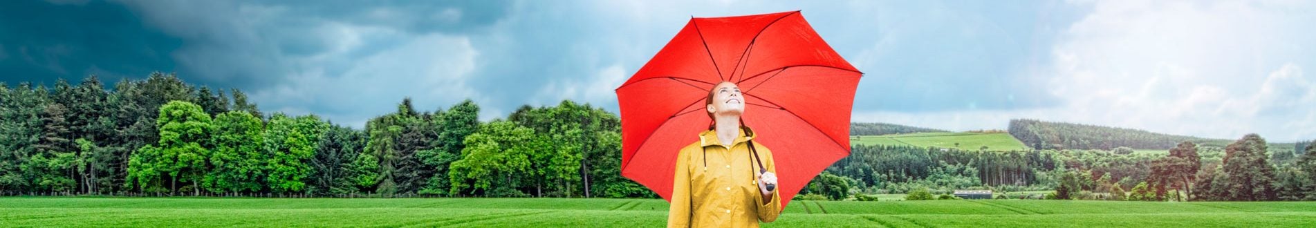 Covered Bonds: A Strong Contender in 2024's Uncertain Landscape